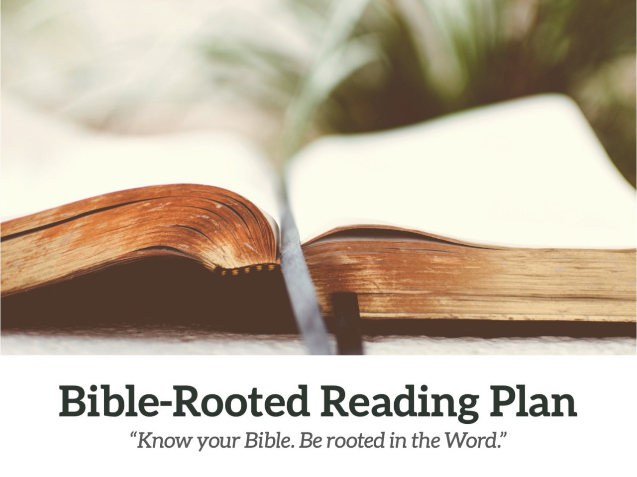 Bible-Rooted Reading Plan - Christian Bible Church of the Philippines